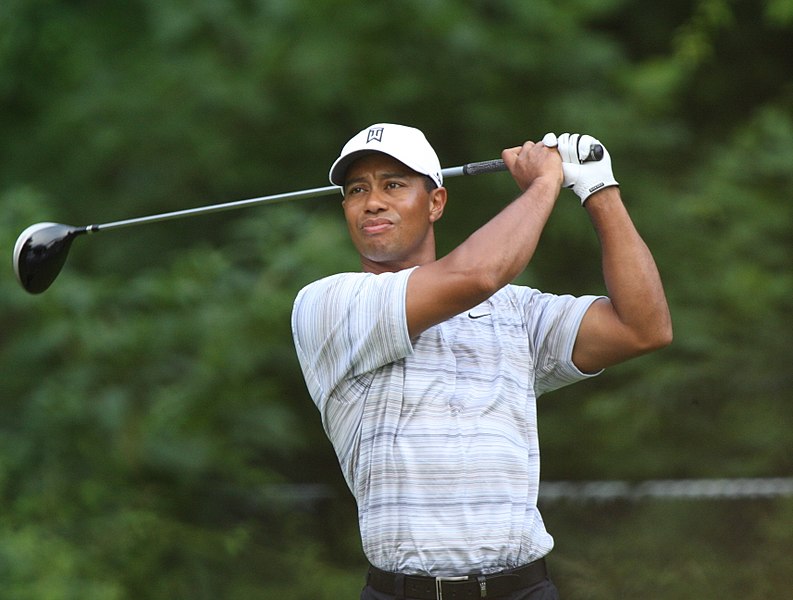 Best Quotes from the Tiger HBO Documentary - Neil Thanedar